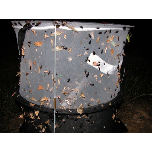Moonlander Moth Trap with Supports and Goodden GemLight SUPER