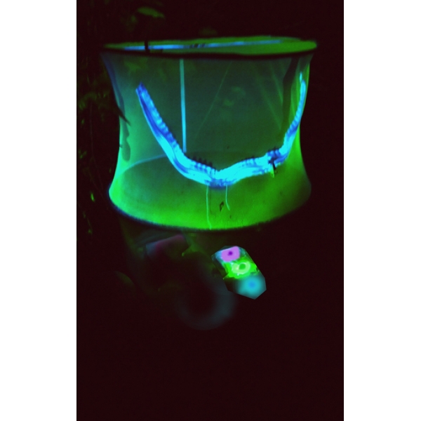Moonlander Moth Trap with Supports and Goodden GemLight SUPER