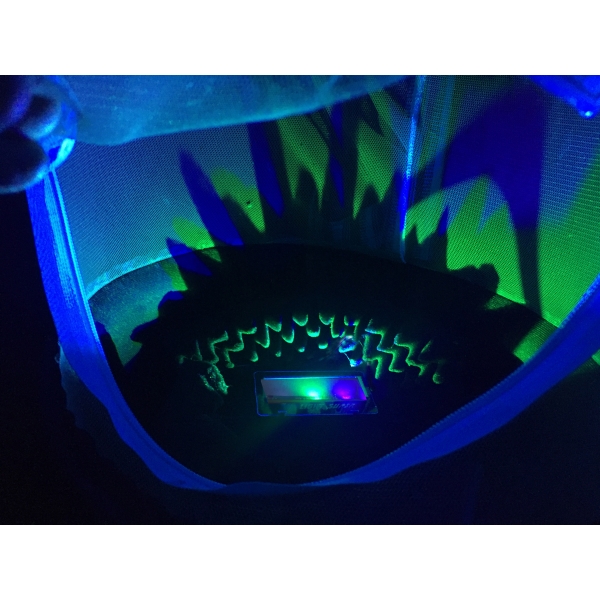 Moonlander Moth Trap with Supports and Goodden GemLight SUPER