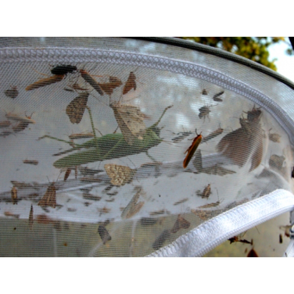 Moonlander Moth Trap with Supports and Goodden GemLight SUPER